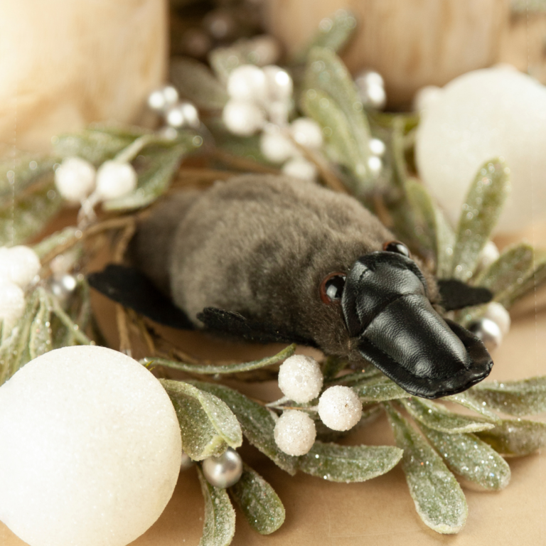 The Truth Behind Turtle Duck: Myth, Reality, and Origins